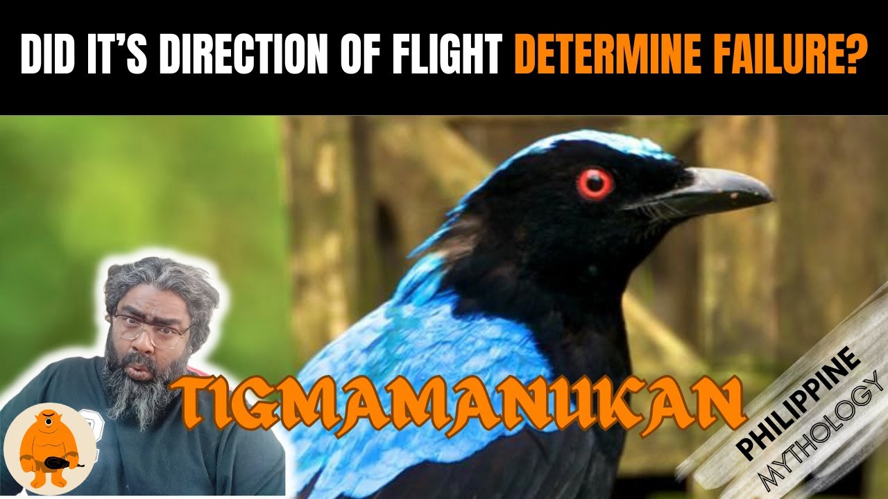 Mysteries of Tigmamanukan: The Enigmatic Philippine Mythical Bird - YouTube