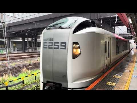 E259系???編成+E259系Ne010編成が新宿駅5番線に到着停車するシーン (2025.7.16.11:40) - YouTube