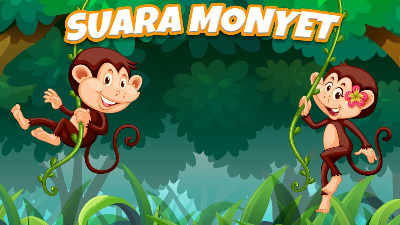ANIMASI DAN SUARA MONYET LUCU UNTUK ANAK - YouTube