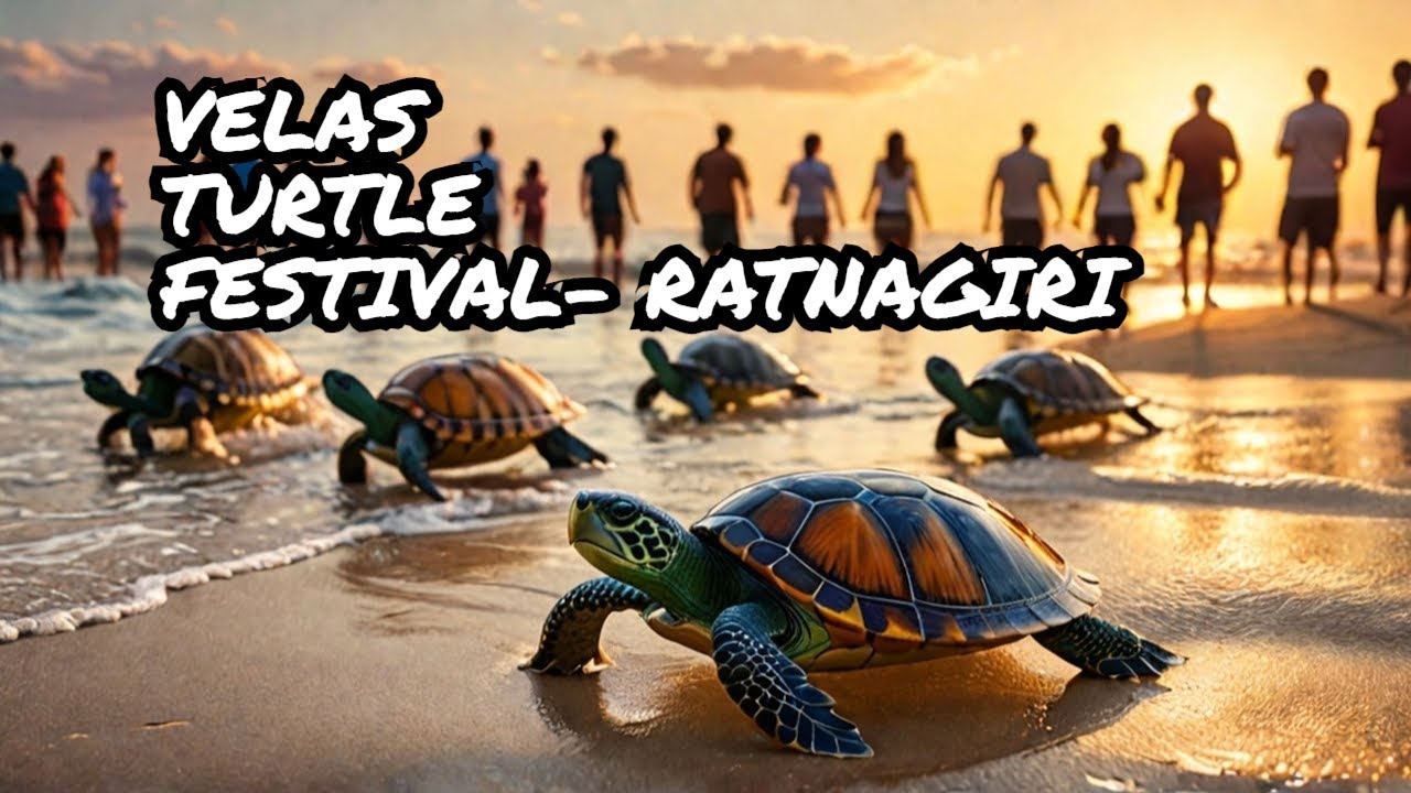 VELAS TURTLE FESTIVAL 2023 | वेळास फेस्टिवल | - YouTube