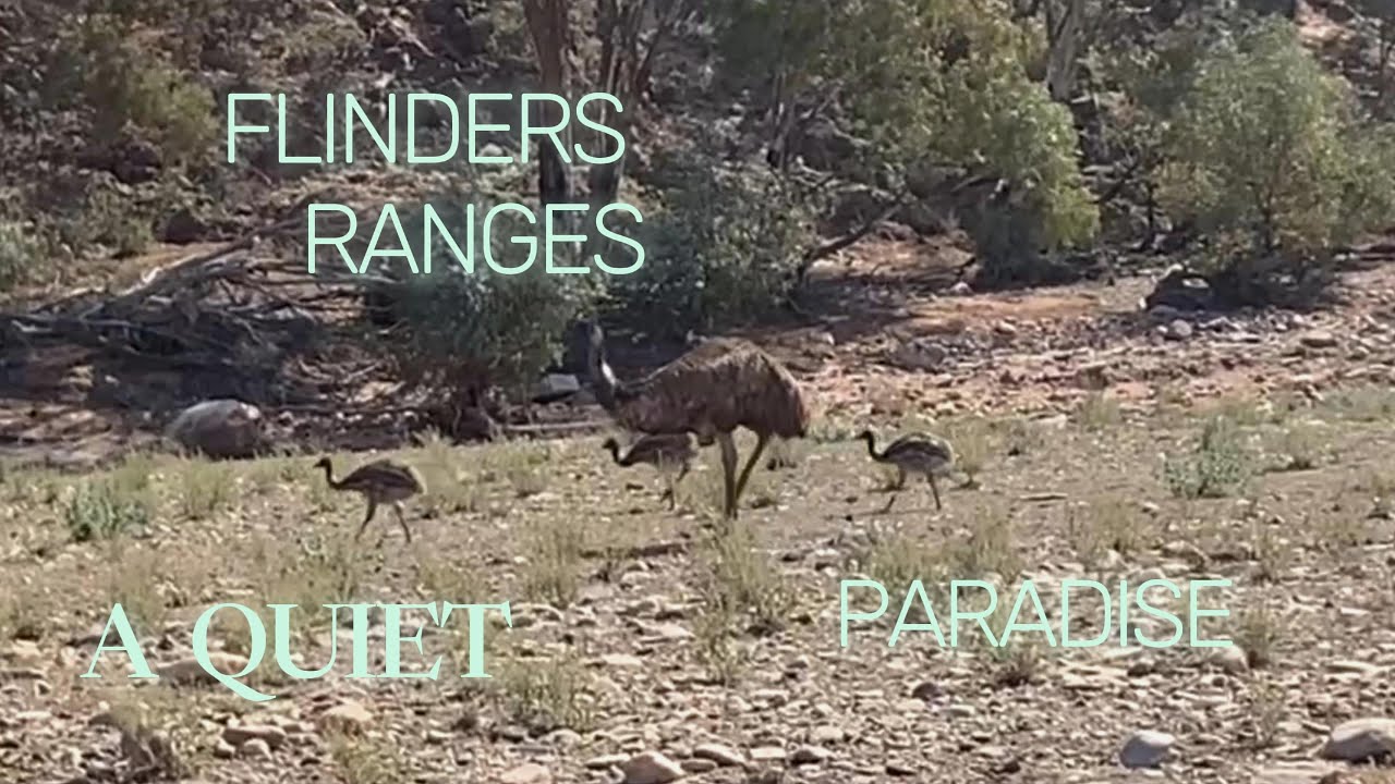 The Flinders Ranges: Ancient Rock Art & Stunning Scenery - YouTube
