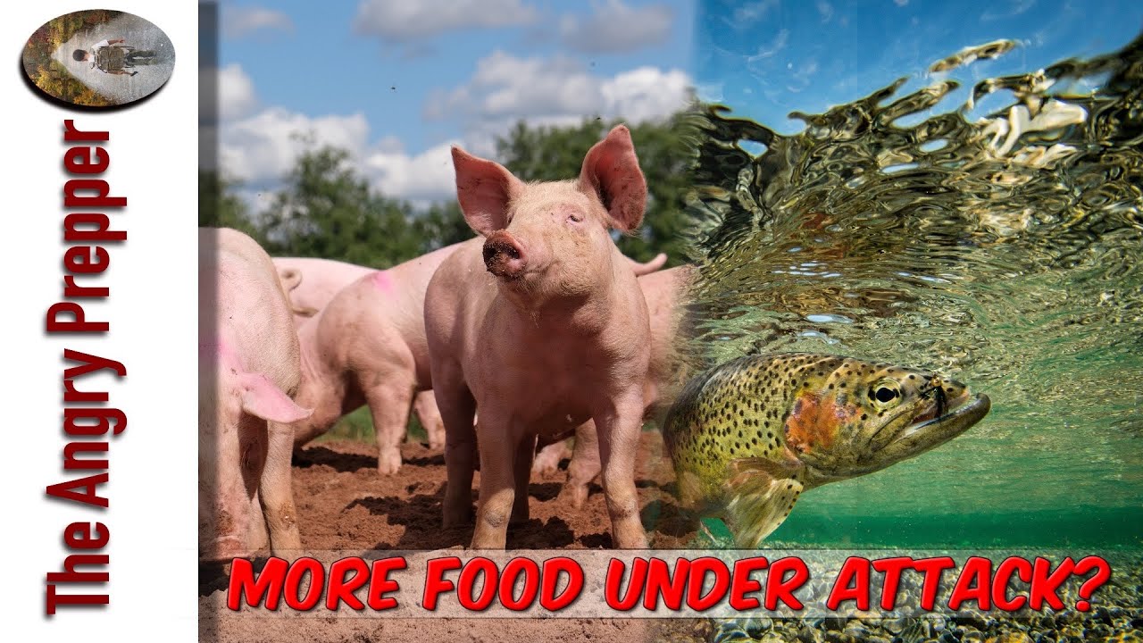 More Food Under Attack? - YouTube