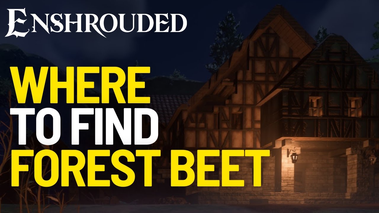 Where to Find Forest Beet in Enshrouded - YouTube