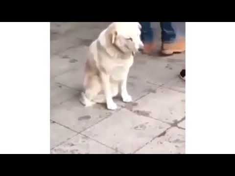 66666666666666666666666666666666666666666666666666 - YouTube