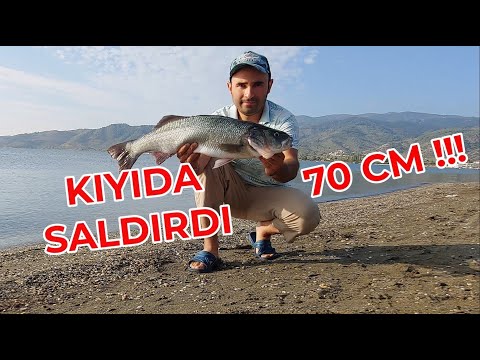 TROFE LEVREK AVIM SU ÜSTÜNE EFSANE SALDIRI #fishing #levrek #levrekavı #balıkavı #zıpbaits