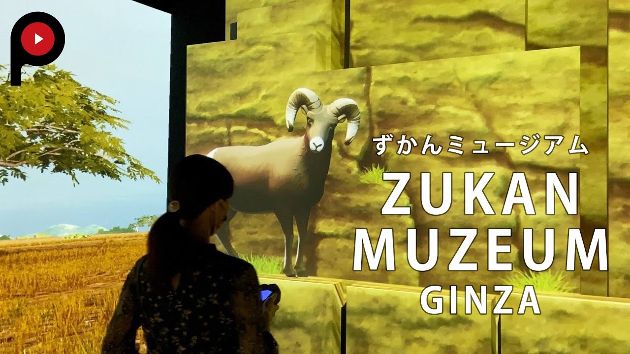 【ずかんミュージアム銀座】 Encyclopedia Museum in Ginza - YouTube