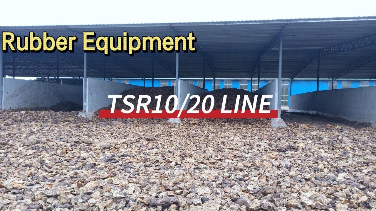 Natural Rubber TSR10 Capacity 5t/hr line in Africa - YouTube