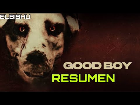 RESUMEN - GOOD BOY PELICULA - YouTube