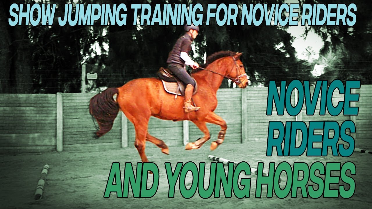 Show jumping training for novice riders - Improve accuracy, balance and ...