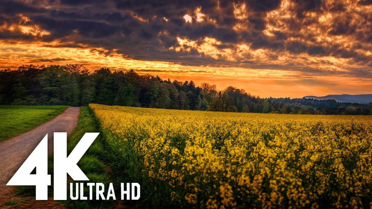 Calming Instrumental Music | Relaxing Music, Piano Music, Meditation ...