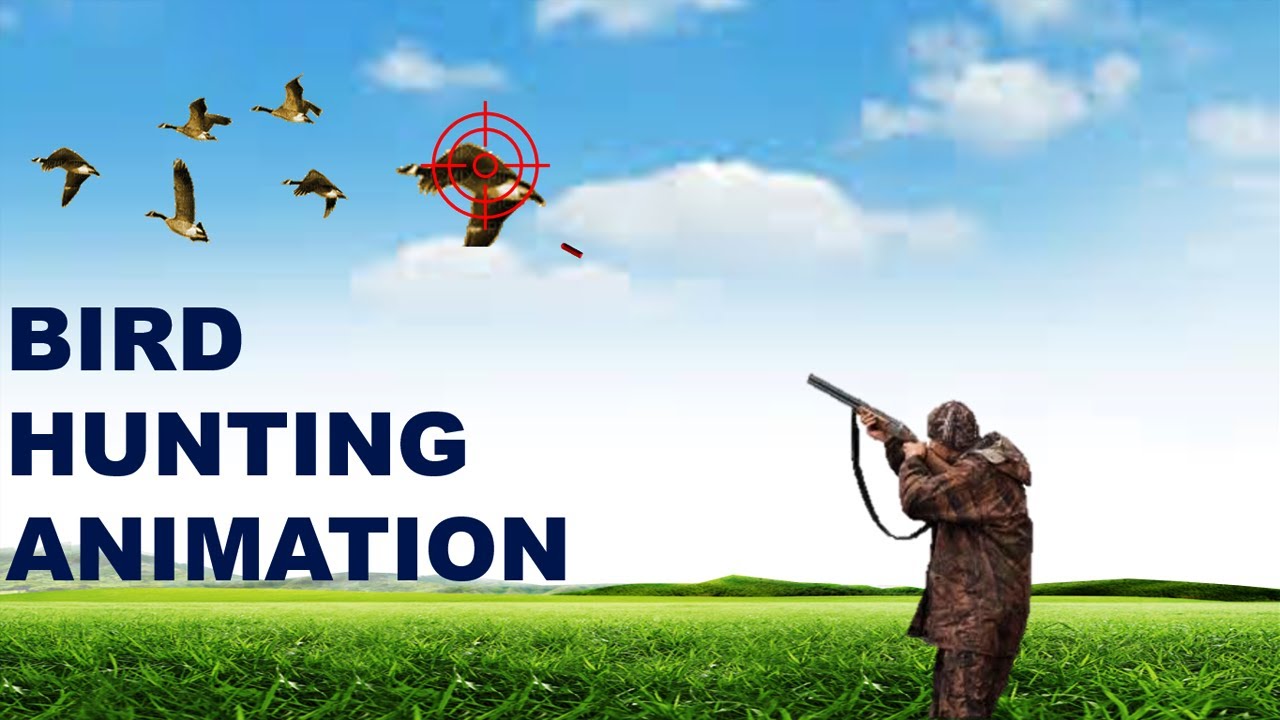 How to make animation slide in PowerPoint | Bird Hunting | Real-like ...