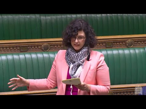 British-Palestinian MP Layla Moran introduces Palestine Statehood ...