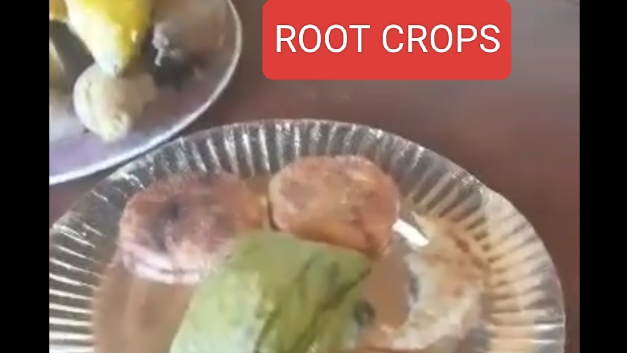 FGF COMMANDER TOM ROOT CROPS SURVIVAL FOOD - YouTube