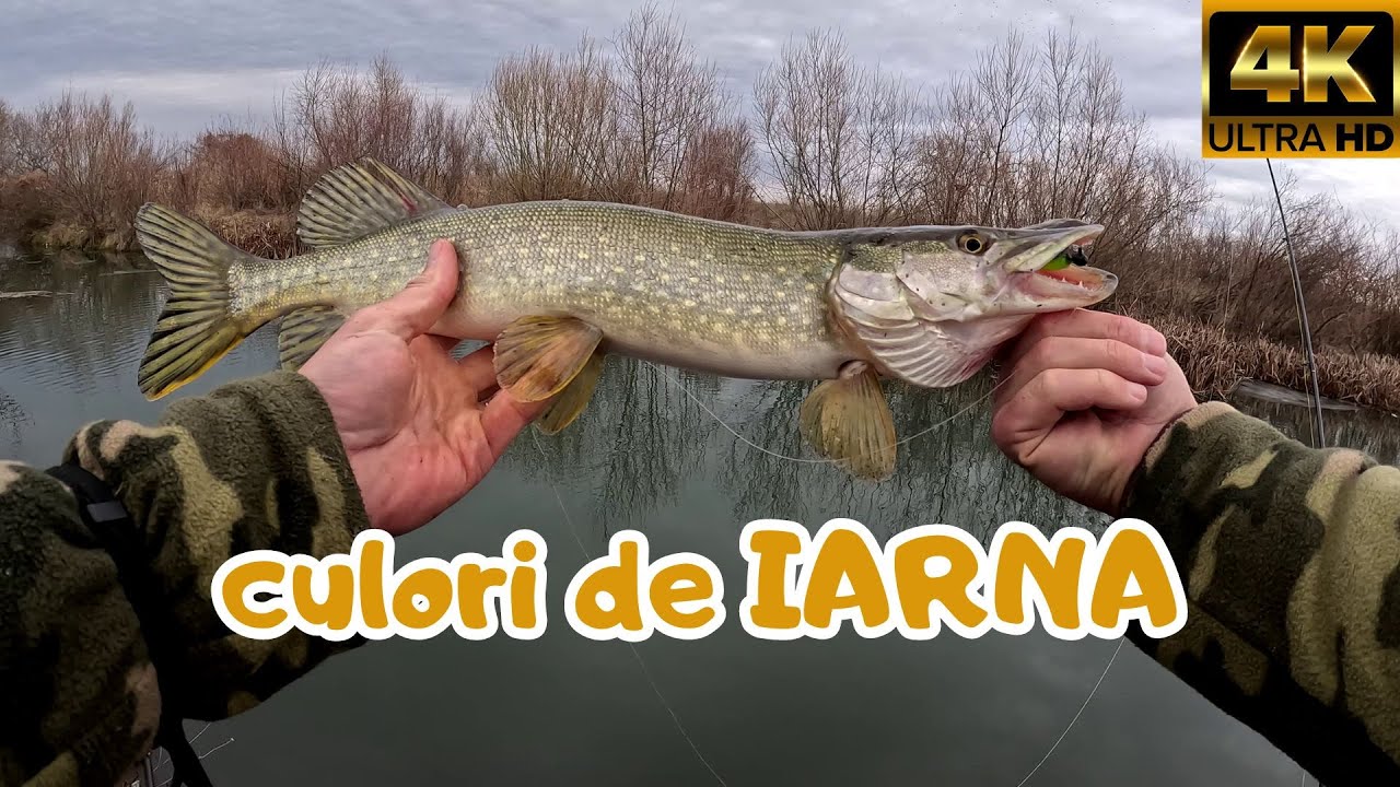 🎣Colectia de IARNA! Hoinar pe raruile salbatice din sudul Romaniei ...