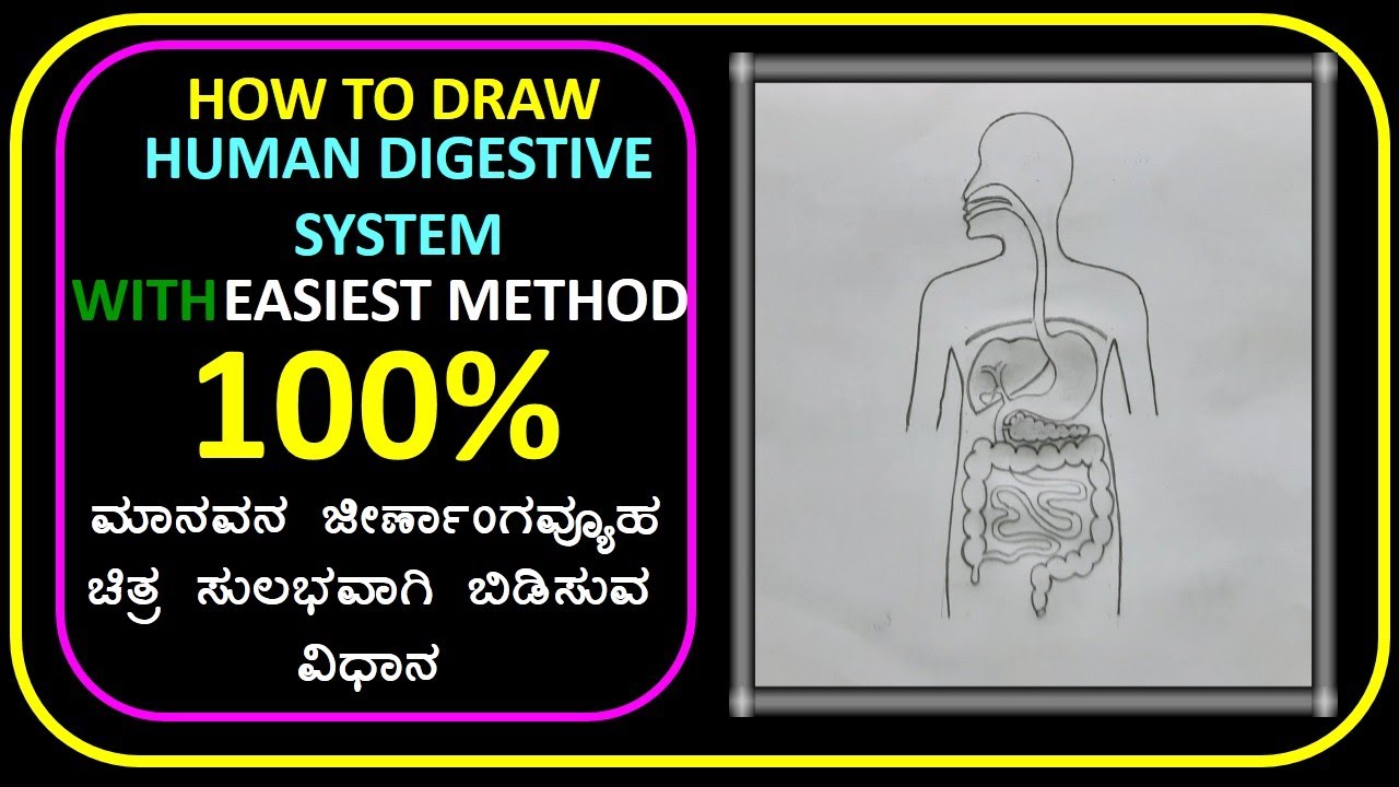 HOW TO DRAW HUMAN DIGESTIVE SYSTEM WITH EASIEST METHOD - YouTube
