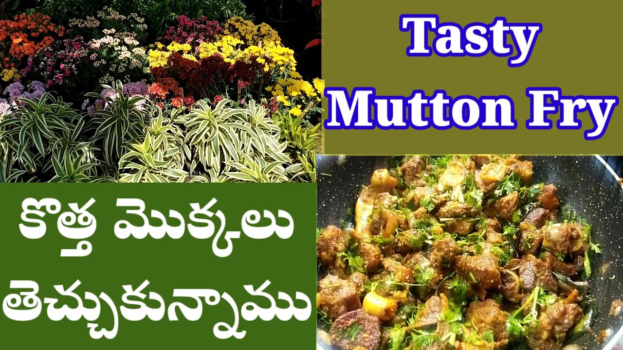 Mutton Fry Recipe 😋Few more plants for home 🌿 visit to Nursery - YouTube