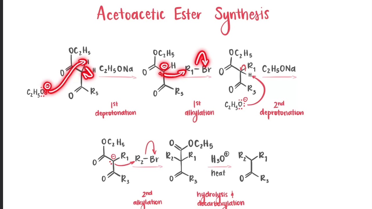Group 1 Mechanism 2: Malonic and Acetoacetic Ester Synthesis - YouTube