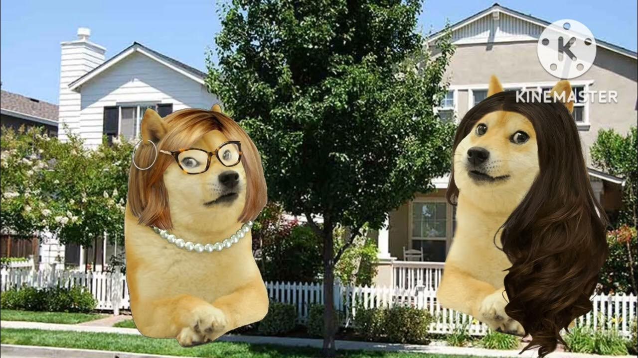 abro hilo la ves que un niño con derecho me roba mi computadora y le sale mal la jugada - YouTube