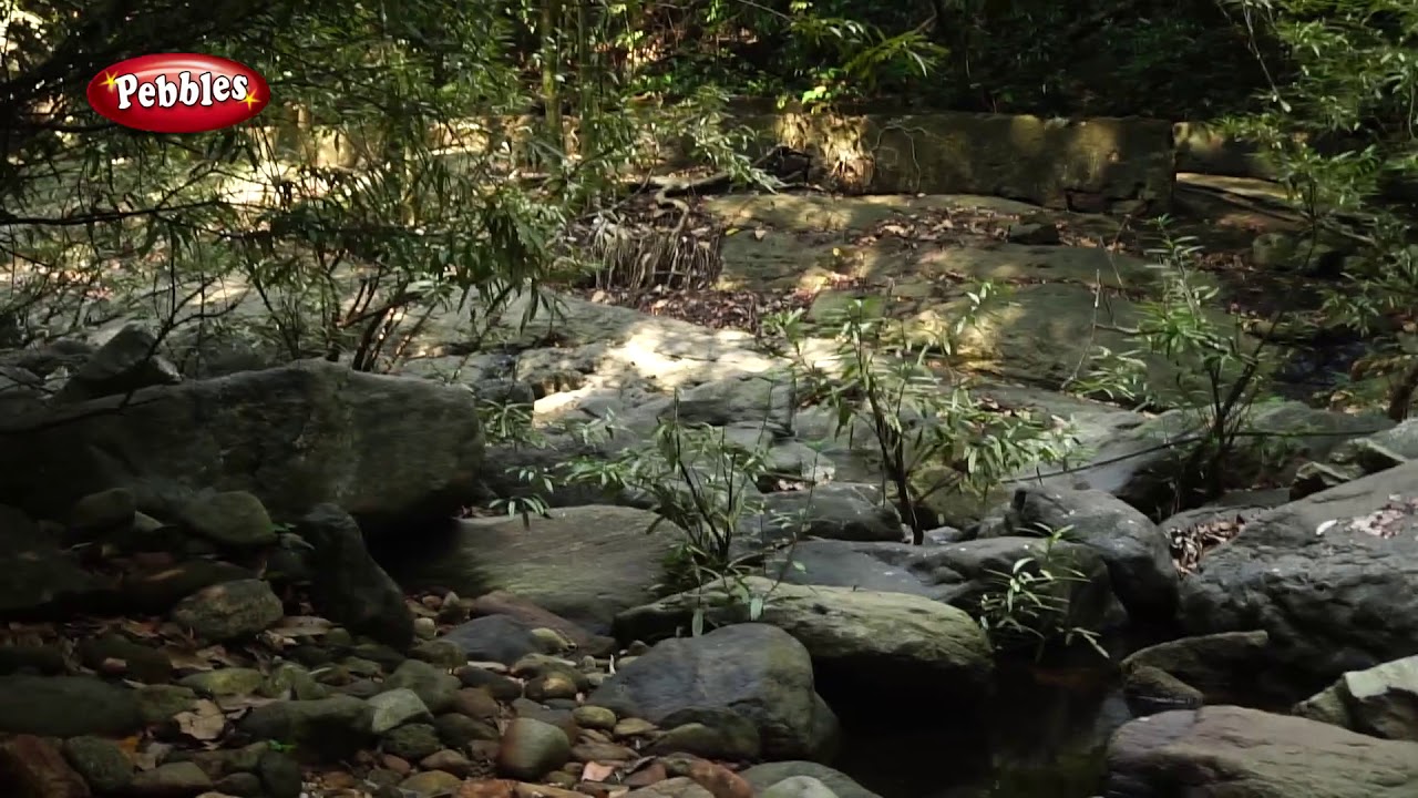 kakkad Eco Tourism | tourism,Calicut | ,south india tourism | Kerala ...