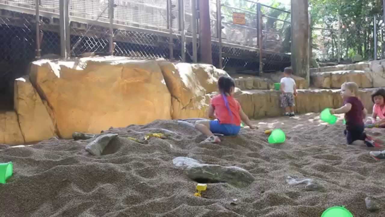 Digging in the Boneyard at Disney's Animal Kingdom - YouTube