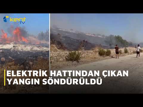 ELEKTRİK HATTINDAN ÇIKAN YANGIN SÖNDÜRÜLDÜ
