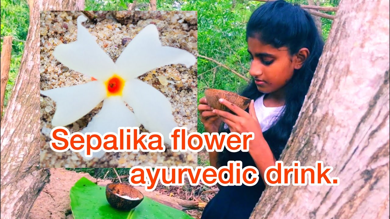 Sepalika flower ayurvedic drink - YouTube