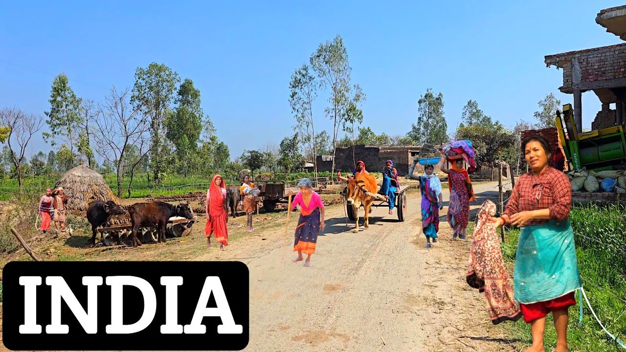 🇮🇳This Is The Real India Of present times ] Daily Life Of People In ...