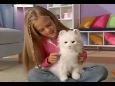 FurReal Friends Интерактивно коте Kitty Cat - YouTube