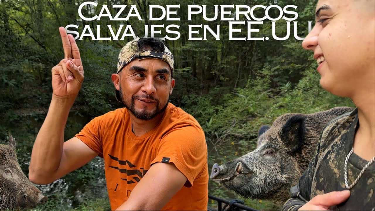 CAZANDO PUERCOS SALVAJES CON “Pesca Cocina y Mas” (Parte 2) CACERIA EN ...