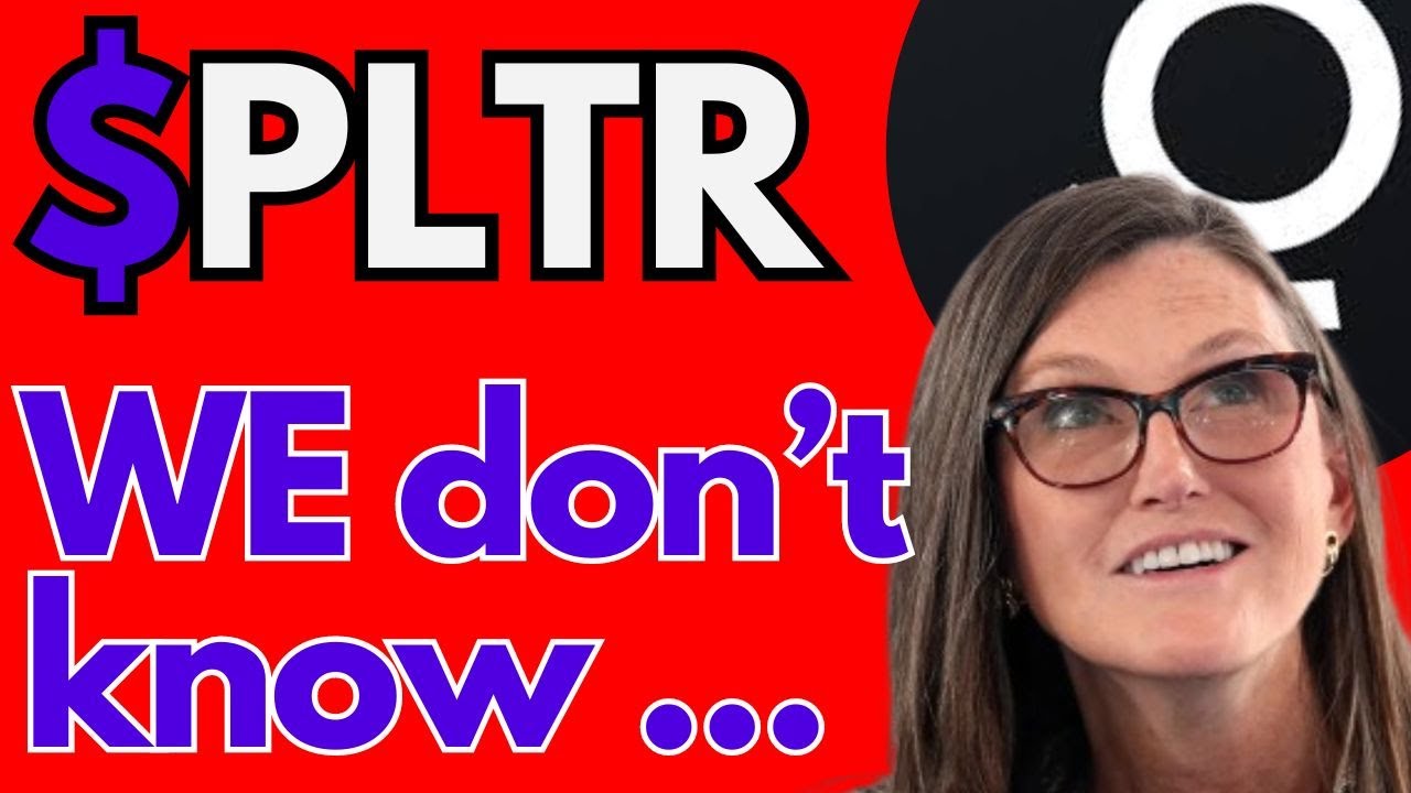 pltr-stock-palantir-technologies-pltr-stock-predictions-pltr-stock
