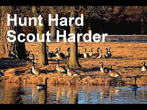 Scouting 101: Tips for Successful Duck and Goose Hunting - YouTube