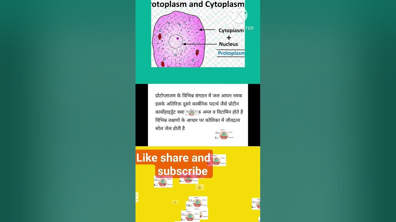 class 9 ch 5 cell #education - YouTube