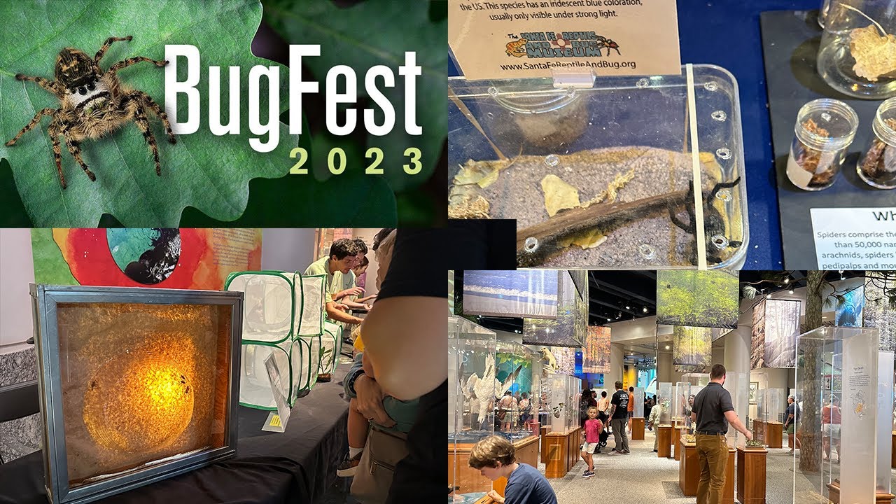 2023 BUGFEST AT NC MUSEUM OF NATURAL SCIENCES - YouTube