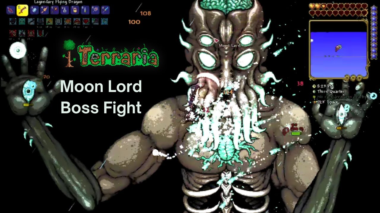 Terraria | Chaotic Boss Fight against the Moon Lord (Expert Mode) - YouTube