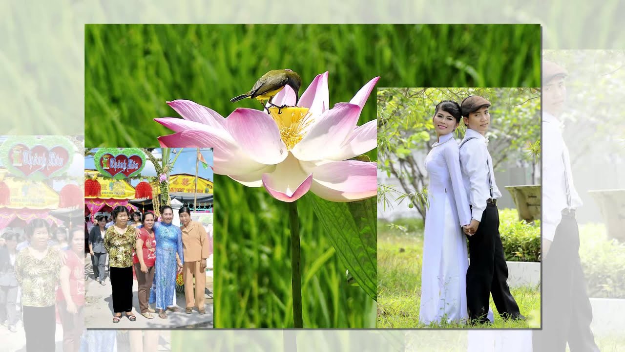 ALBUM NHAC SEN HAY NHAT NAM 2014 HAI 17 - YouTube