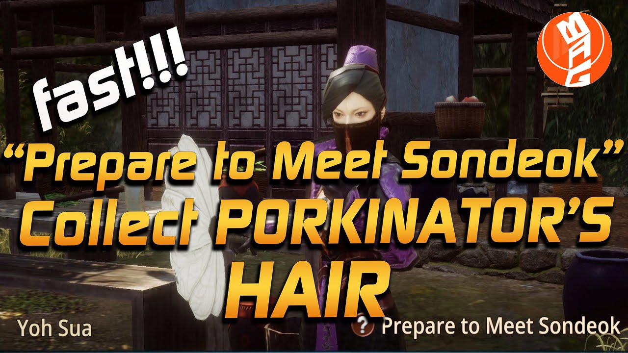 Prepare to Meet Sondeok - Collect Porkinator's Hair Mir4 Bicheon Castle ...