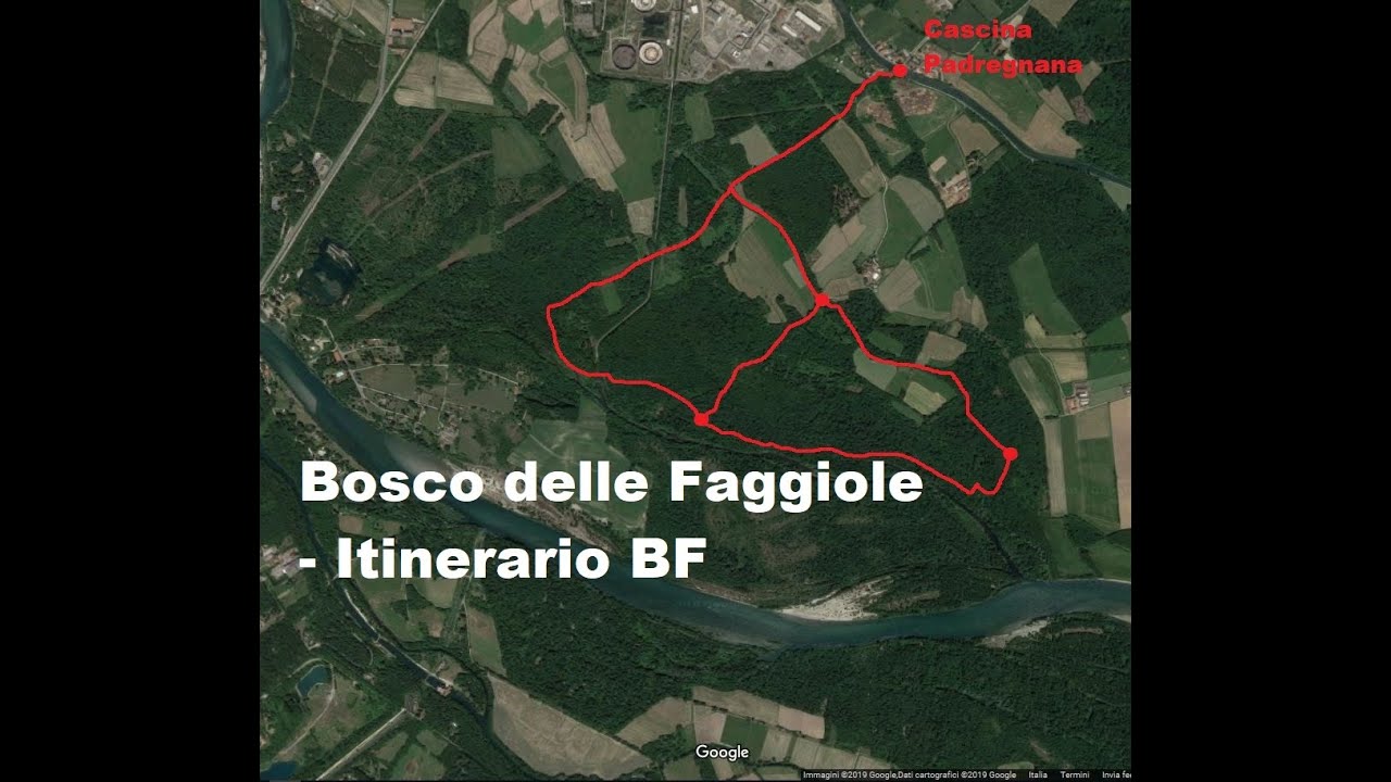 Bosco delle Faggiole - Itinerario BF - YouTube