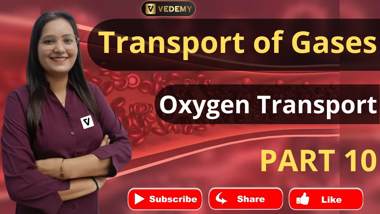 Transport of Gases | Oxygen Transport | Respiratory System | Animal ...