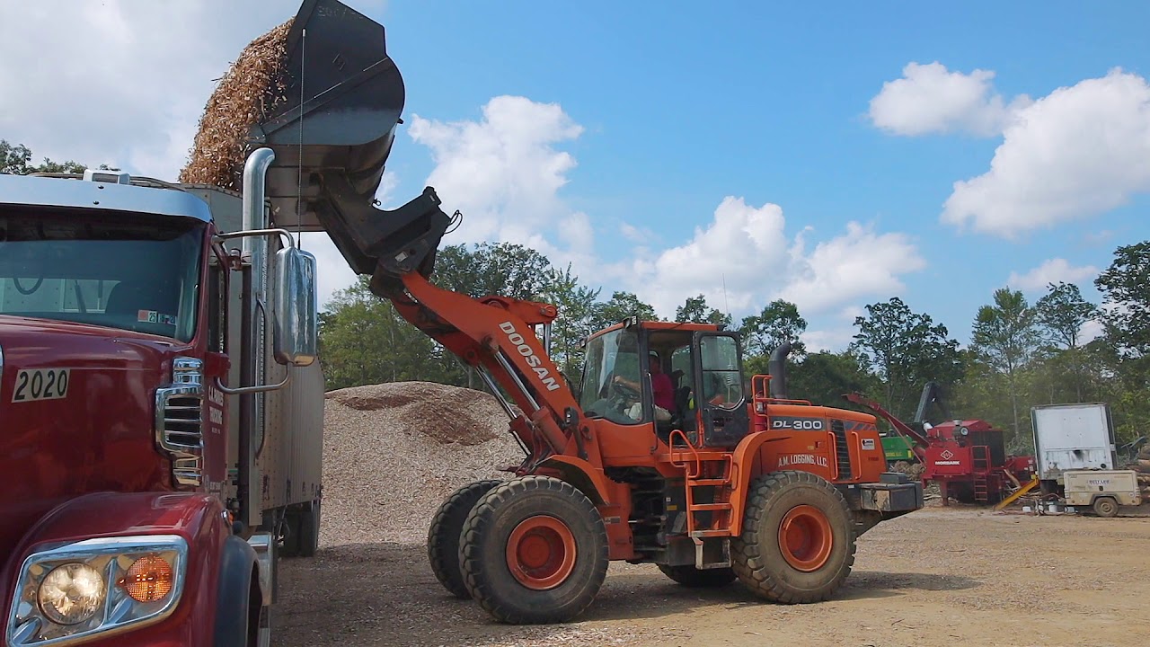 A M Logging, LLC Employment Opportunity - YouTube