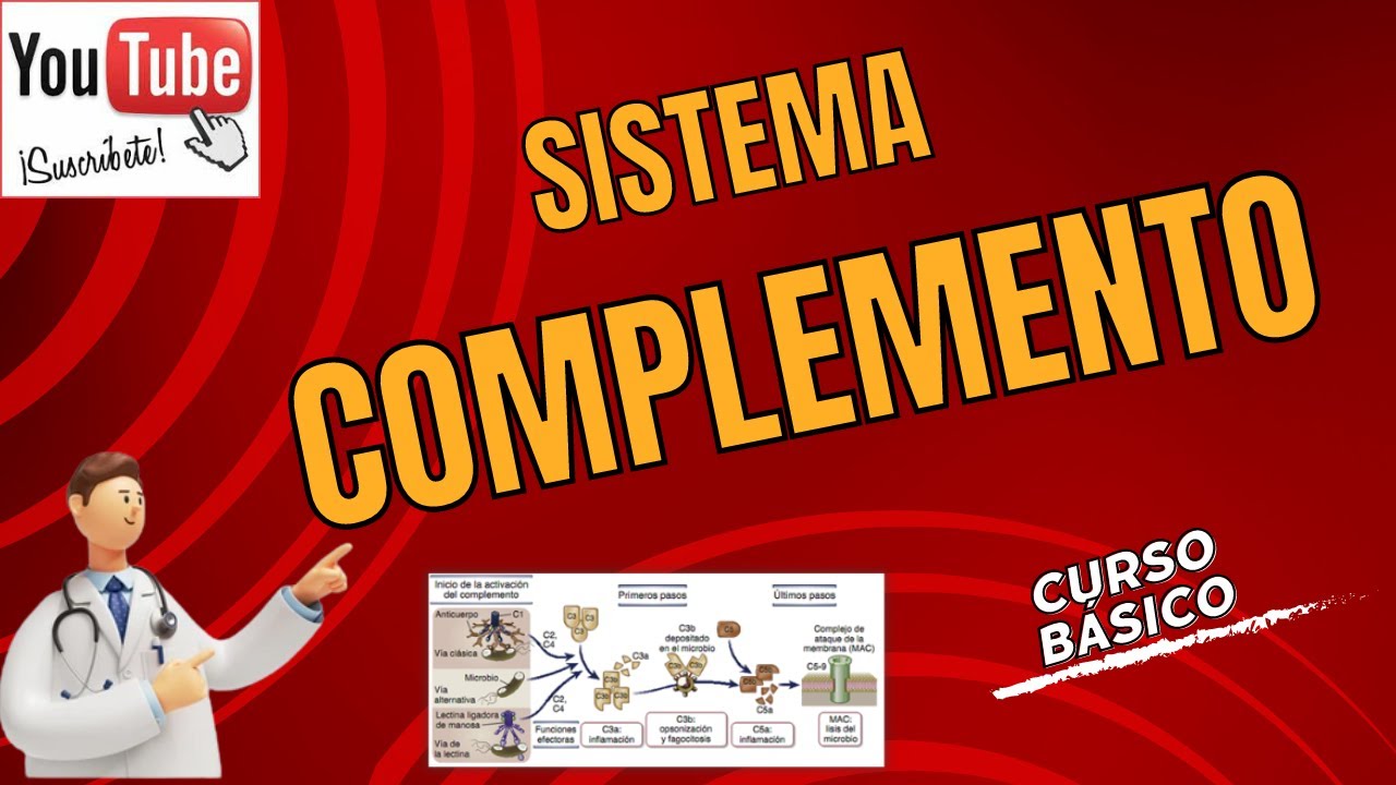 ¿Qué es el Sistema del Complemento? Introducción. Curso básico - YouTube