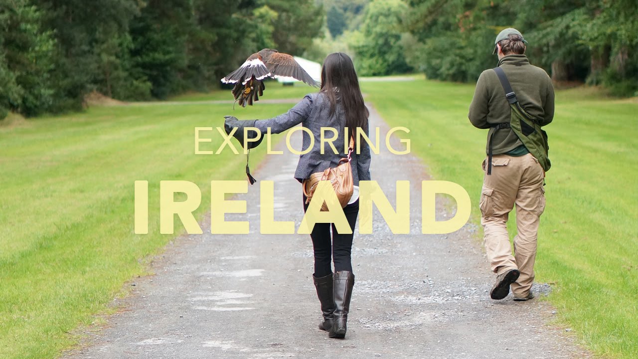 Ireland: Walk a hawk at Ashford Castle, Cabra Castle, Giant's Causeway ...