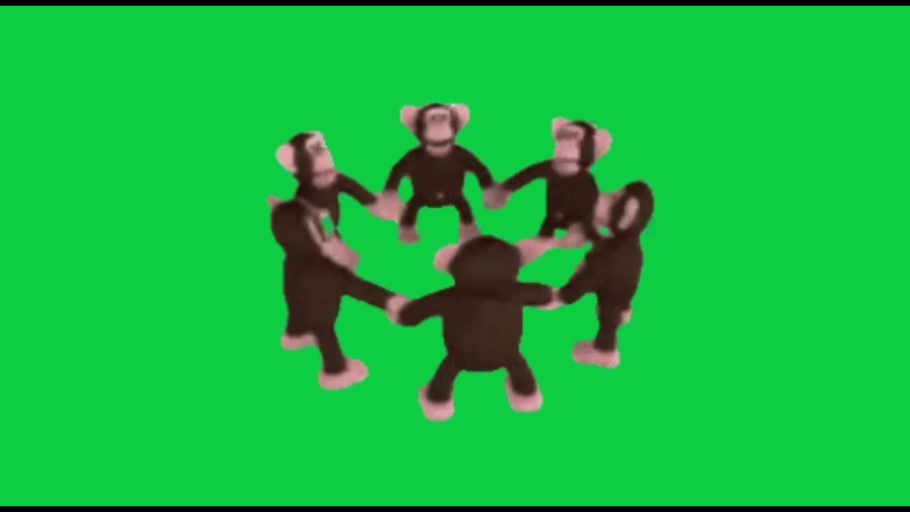 Monkey Circle Green Screen Chroma Key - YouTube