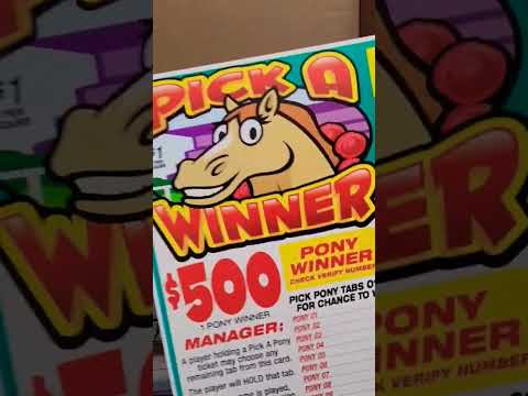 ASMR Full box Pull tabs Horse race. How much profit do they make after ...