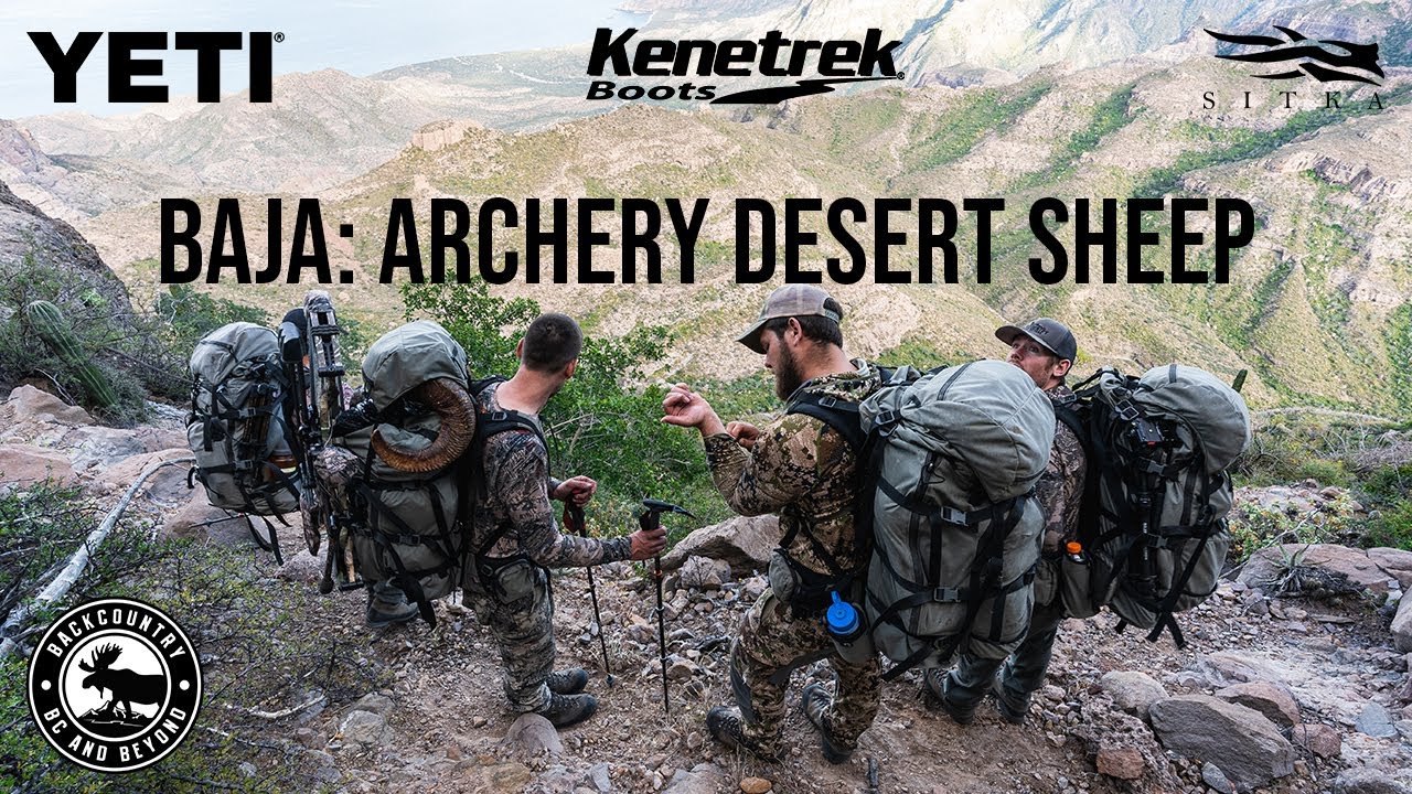 ARCHERY DESERT SHEEP HUNT BAJA MEXICO - YouTube