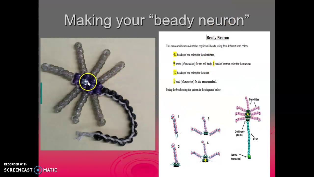Making your beady neuron - YouTube