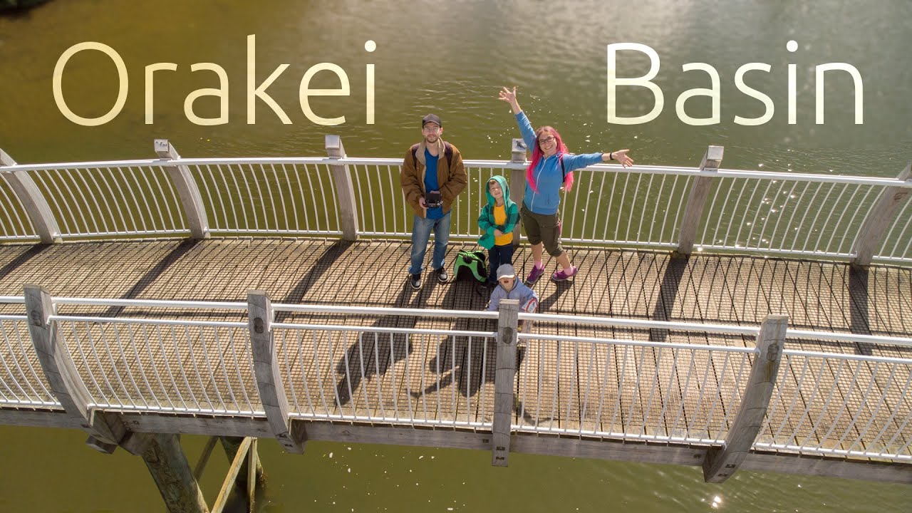 Orakei Basin, Auckland. - YouTube