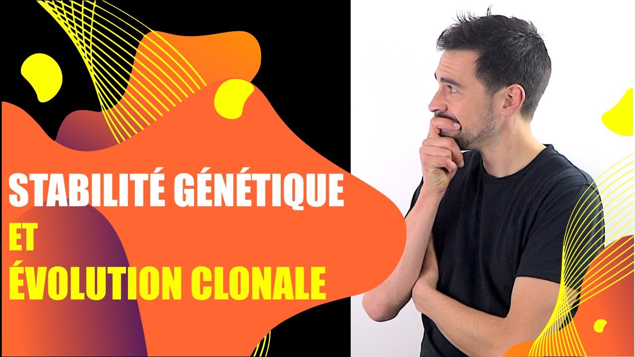 COURS DE TERMINALE SPÉCIALITÉ SVT : CHAP.1: STABILITÉ GÉNÉTIQUE ET ÉVOLUTION CLONALE - Bio ...