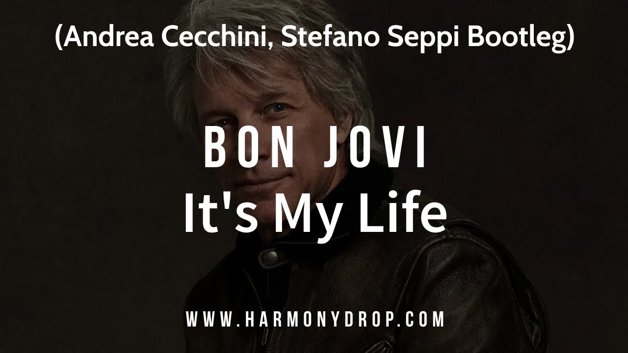 Bon Jovi - It's My Life (Andrea Cecchini, Stefano Seppia, Steve Martin ...