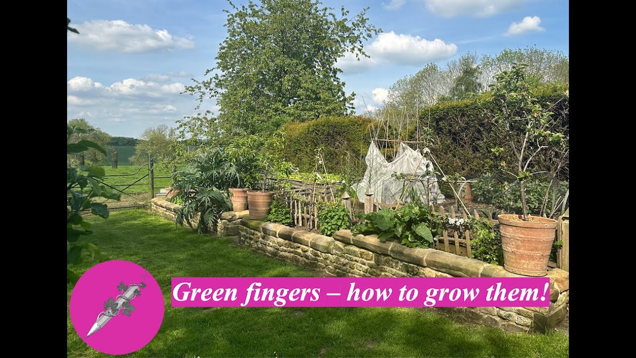 Green fingers – how to grow them! - YouTube