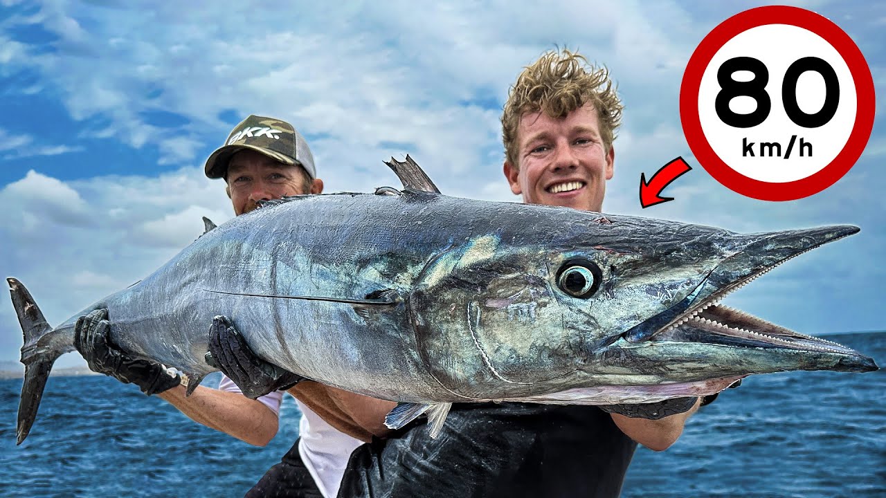 IK VANG DE OP EEN NA SNELSTE VIS VAN DE OCEAAN!! - YouTube